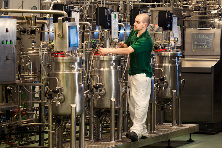 Koppert ayuda a mejorar la salud de las personas y del planeta, con una ...